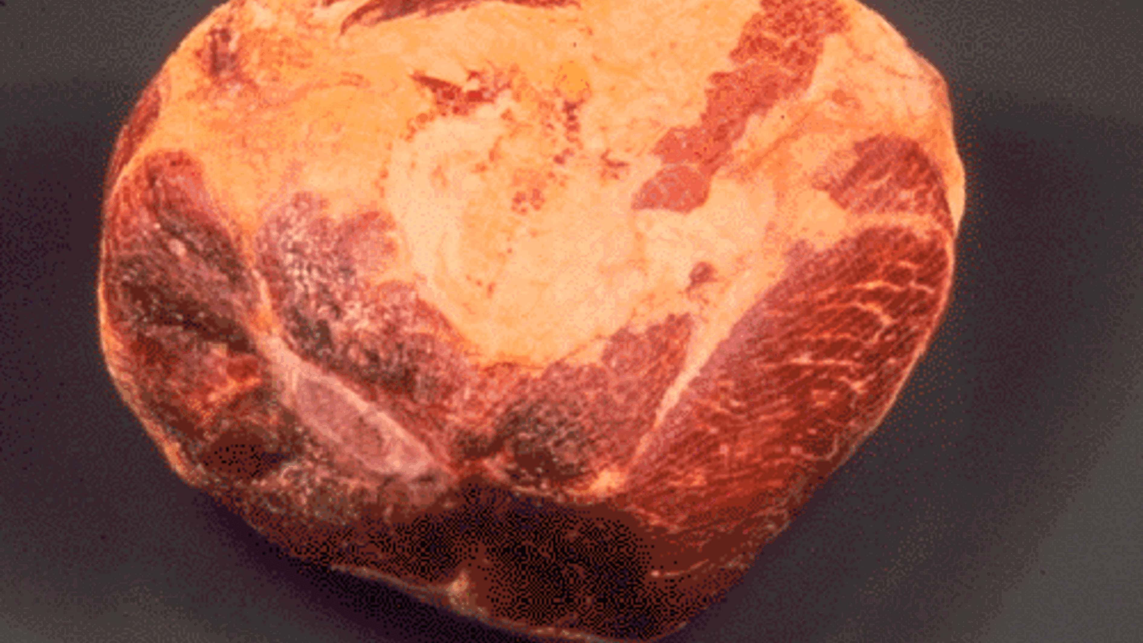 Pork Cut Identification | Department of Animal Science | Nebraska