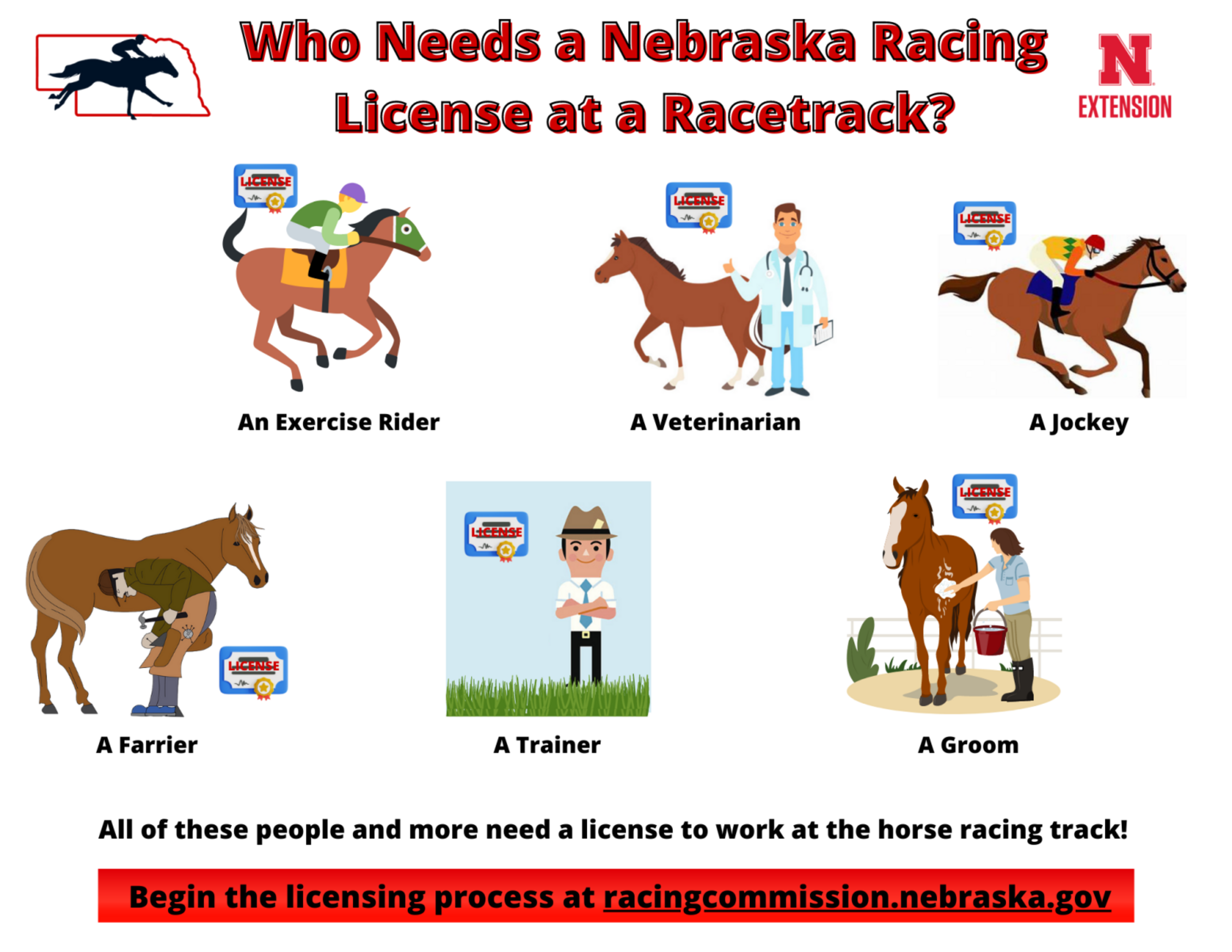 Race Nebraska Resources and Contacts | Department of Animal Science ...
